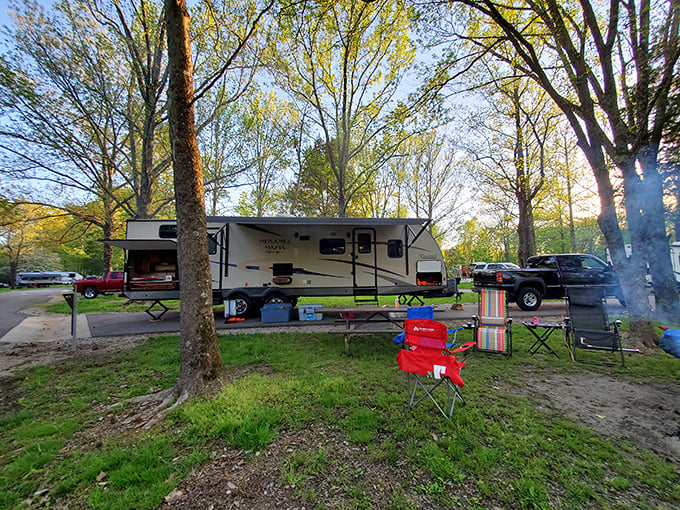 Camping in Makanda means waking up to birdsong instead of alarm clocks, with trees instead of office walls. The ultimate upgrade.