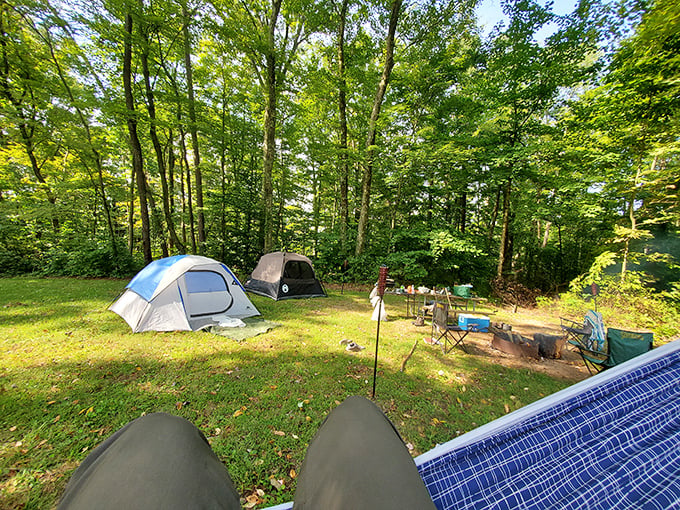 Camping here means falling asleep to nature's soundtrack instead of your neighbor's leaf blower symphony.
