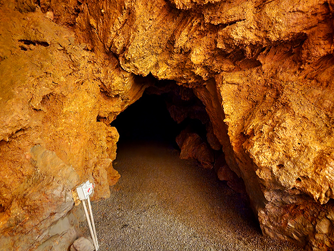 Portal to another world: This unassuming cave entrance belies the spectacular chambers and formations waiting in the cool darkness beyond.