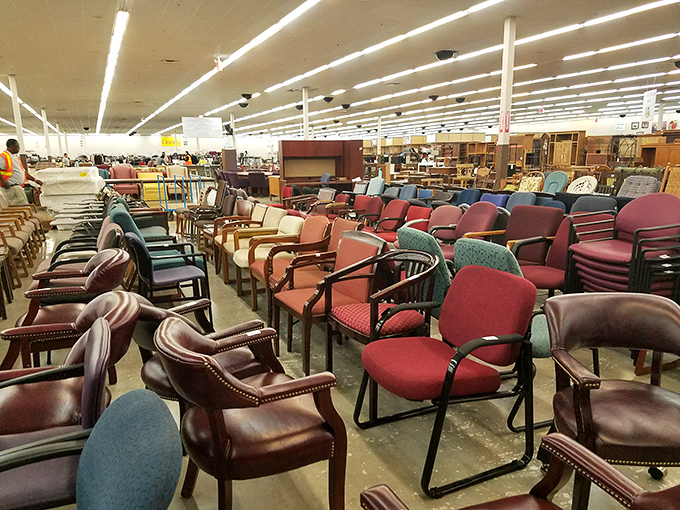 The chair congregation offers seating for every personality—from corporate boardroom to cozy reading nook, all priced for the budget-conscious decorator.