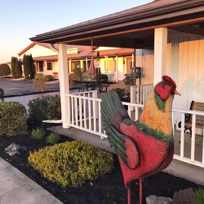 The rooster statue stands guard like a colorful sentinel. He's seen things&mdash;mostly hungry people becoming happy people.
