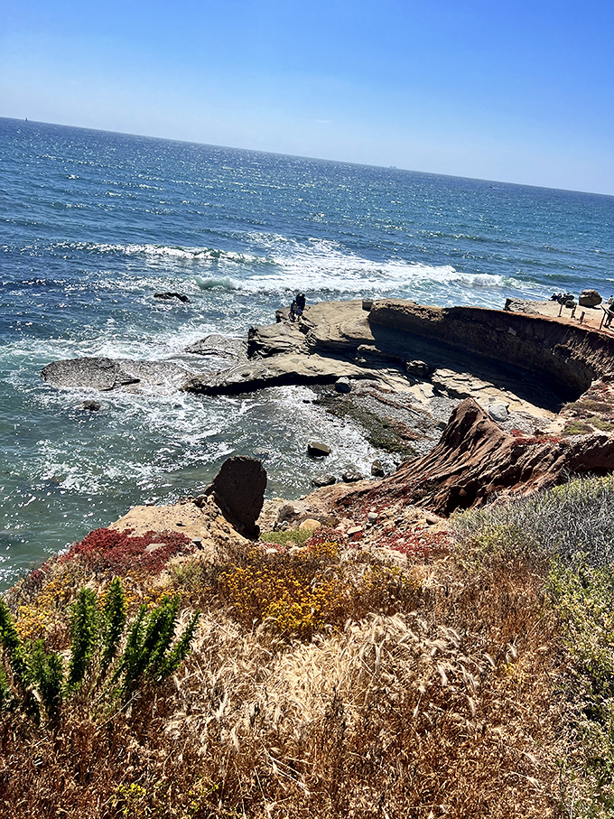 The rugged coastline below offers tide pools teeming with marine life. Nature's own touch tank without the school field trip crowds.