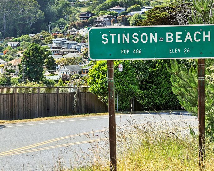 That green sign tells you everything: population 486, elevation 26 feet, and 100% chance of falling in love with small-town coastal life.