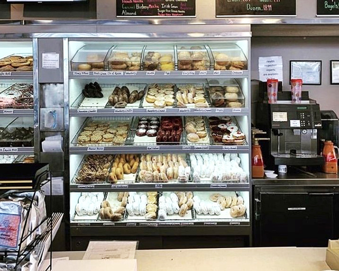 The counter area &ndash; where dreams and reality meet, and where the hardest decision you'll make all day is choosing between "one" or "one dozen."