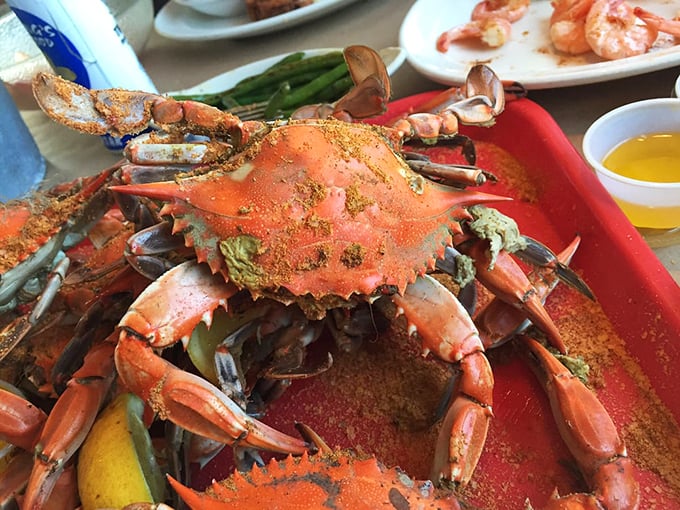 This magnificent specimen is why crab mallets were invented. Prepare to get personal with your food in the most delicious way possible. 