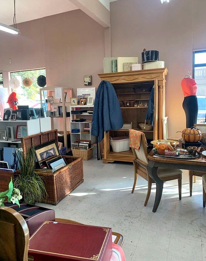 Part furniture showroom, part time machine—this corner offers both décor and a portal to design decades past.