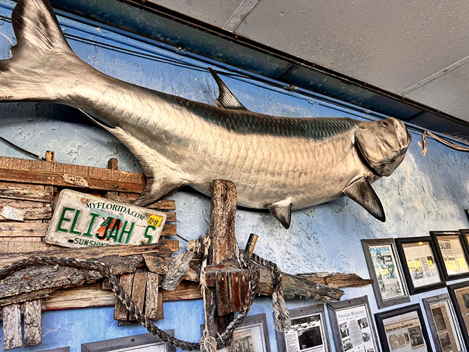 That tarpon on the wall has witnessed more good times than most nightclub bouncers, silently presiding over decades of seafood feasts.