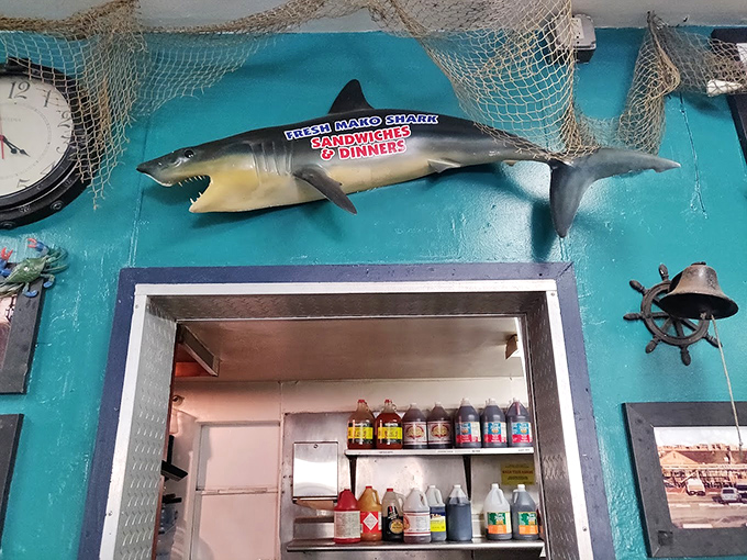 That shark on the wall isn't just decoration&mdash;it's a reminder that you're in a place that takes its relationship with the sea seriously.