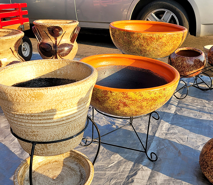 These aren't just planters; they're future homes for your botanical roommates, waiting to transform your patio into an Instagram-worthy oasis.