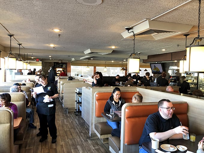 A symphony of conversation and clinking silverware fills the dining room, where strangers become neighbors united by the universal language of good food.