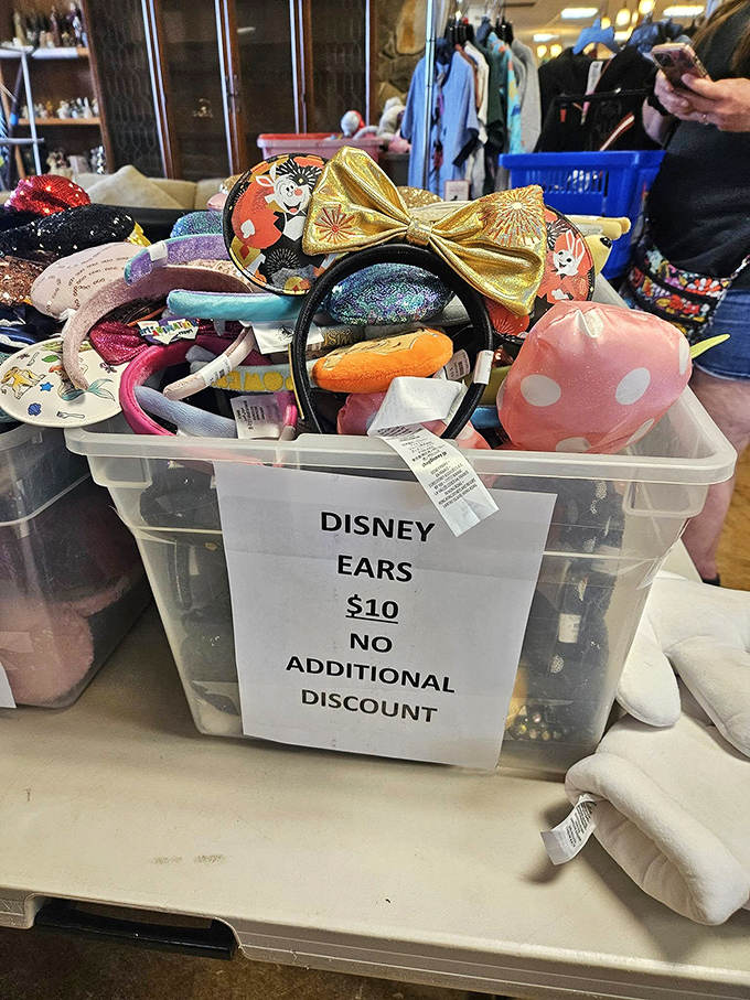 Disney ears galore! Skip the theme park prices and still bring home the magic. Mouse-approved fashion at a fraction of the cost.