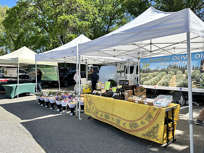 The farmers market showcases foothill bounty, where olive oil producers and local farmers offer tastings that make supermarket shopping seem like punishment.