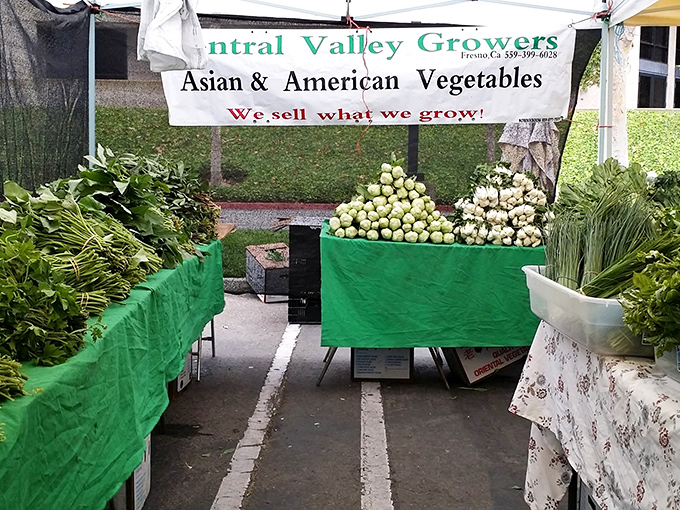 Fresh vegetables prove that healthy eating doesn't require a trust fund or a financial planning session.