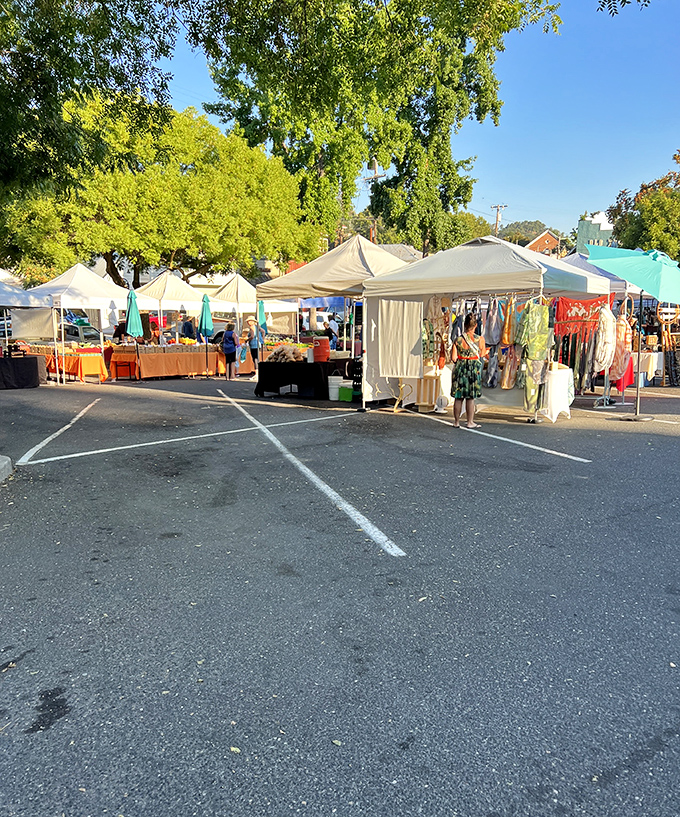 The farmers market transforms an ordinary parking lot into a community gathering space where the produce is as fresh as the gossip.