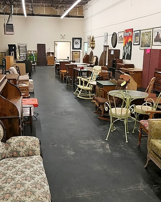 A furniture showroom that spans decades of American living rooms. That tufted gold sofa has hosted countless family discussions and TV dinners.