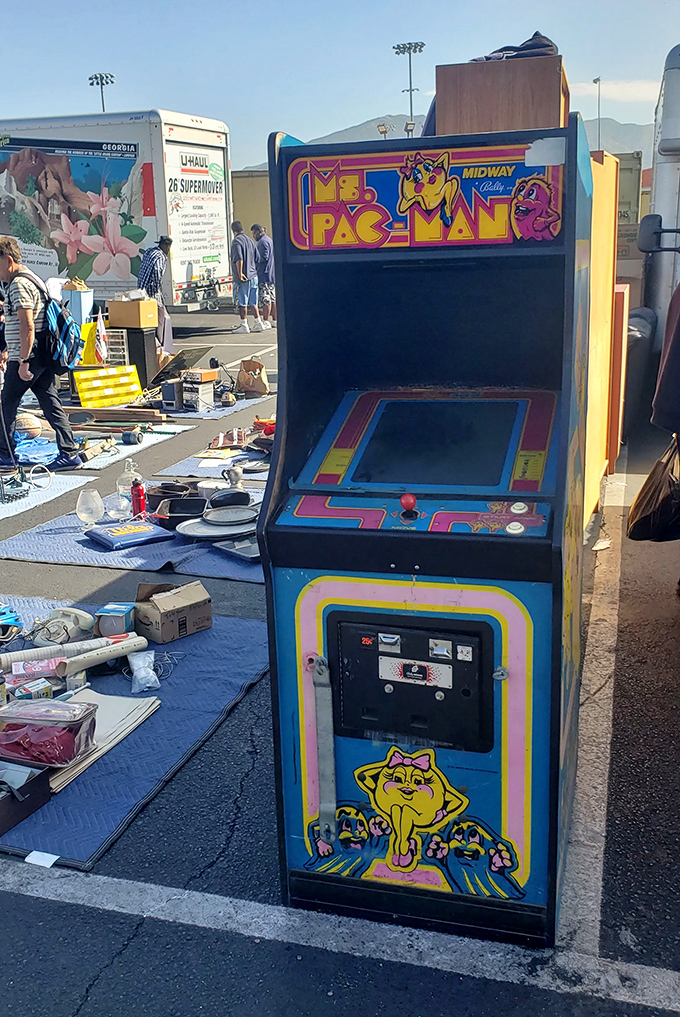 Vintage arcade games transport you back when quarters were precious currency and high scores mattered.