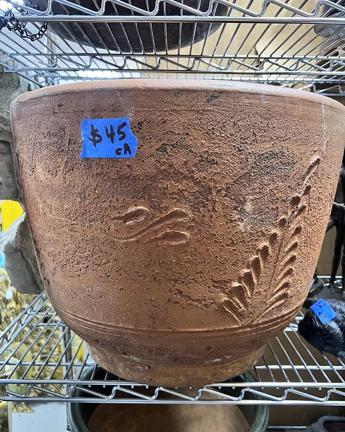 Even garden pots have stories here – this terra cotta beauty with its $45 price tag promising to elevate your houseplants from mere greenery to statement pieces.