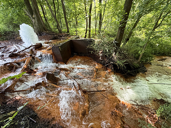 The geyser's impressive height demonstrates the powerful forces working beneath our feet.