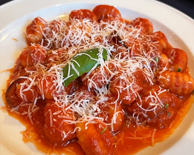 Gnocchi in tomato sauce with a fresh basil leaf &ndash; pillowy potato perfection that would make any Italian grandmother weep with joy.