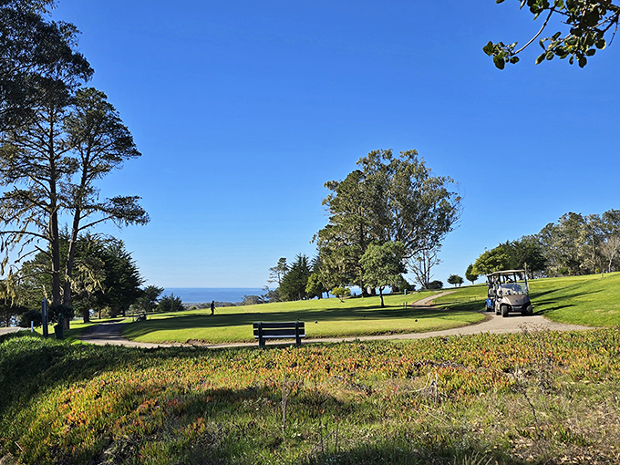 The golf cart path winds through coastal pines, where ocean views distract from even the most disappointing putts.