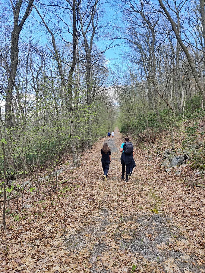 The simple joy of walking forest trails with friends. No expensive equipment required&mdash;just comfortable shoes and good conversation partners.