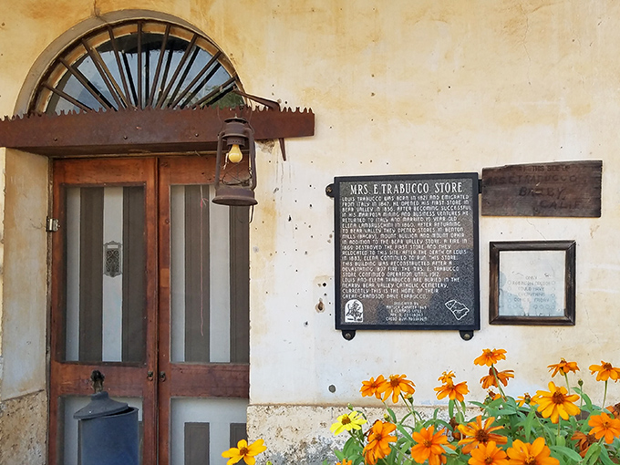 History preserved in sunlit adobe and wildflowers. This historic storefront has weathered more Sierra seasons than most hiking boots.