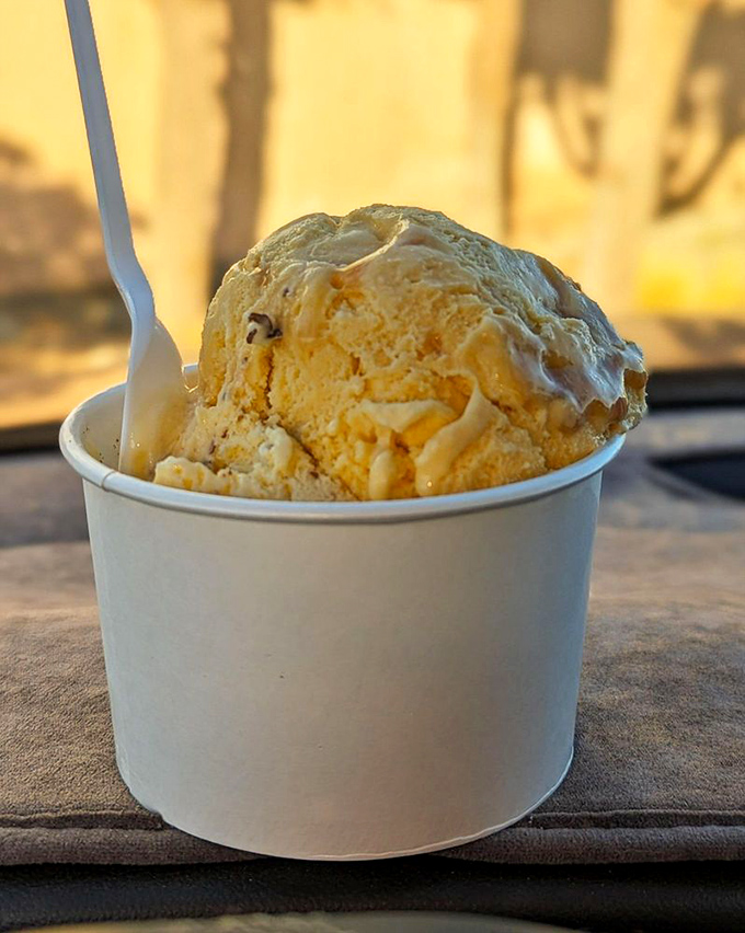 Ice cream served in a simple cup that reminds us sometimes the best desserts don't need fancy presentation&mdash;just pure, creamy perfection.