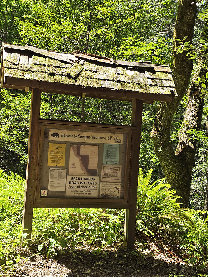 The park entrance sign&mdash;nature's version of "you must be this adventurous to enter." Bear Harbor Road status: definitely challenging your sedan's capabilities.