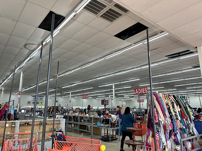 Warehouse-style shopping meets treasure hunting in this climate-controlled paradise of endless possibilities and discoveries.