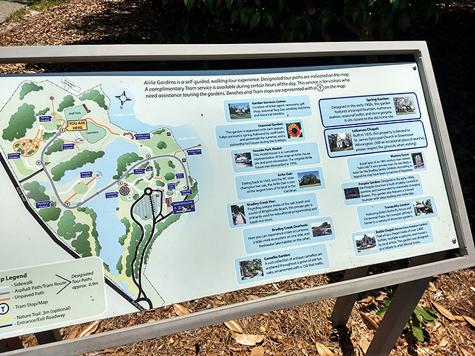 Even the garden map is artfully designed, offering a treasure hunt of botanical wonders for visitors to discover at their leisure.