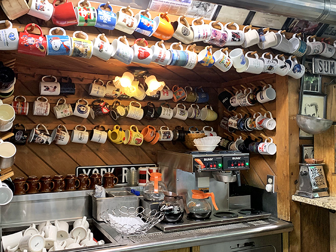 The mug collection that started as decoration and became an obsession. Each one tells a story&mdash;most of them unprintable.