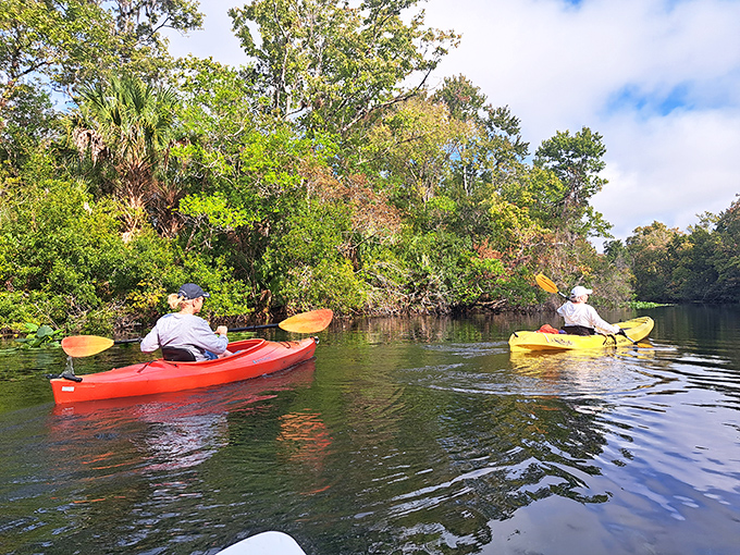 Social distancing, perfected. Gliding through the spring run in kayaks offers front-row seats to Florida's greatest natural show.