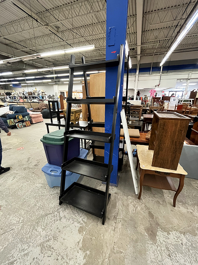 That sleek black ladder shelf could organize your books, plants, or collection of tiny ceramic frogs. Furniture with possibilities is the best kind.