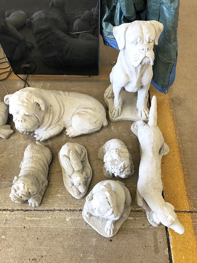 These concrete canines look like they're waiting for someone to say the magic words that will bring them to life. Garden guardians with personality!