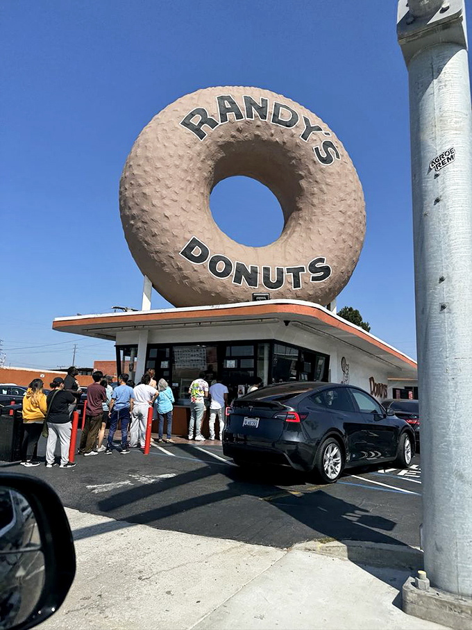 The line forms under the watchful eye of the great donut. Some wait for concert tickets, others for celebrities &ndash; the wise wait for Randy's.