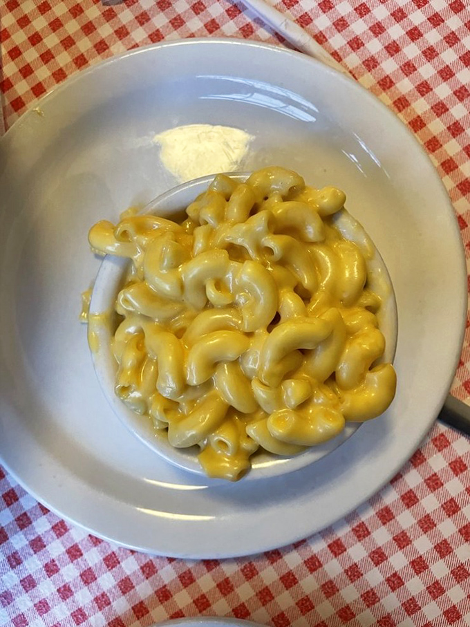 This mac and cheese doesn't need fancy ingredients to graduate with honors—just perfectly cooked pasta swimming in liquid gold.