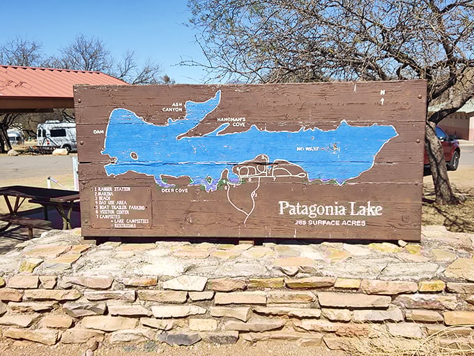 The treasure map to aquatic adventure. This wooden chart proves that X marks the spot where desert meets unexpected splashing opportunities.