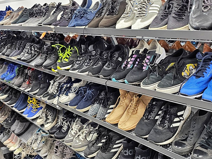 Athletic shoes line up like a sneaker convention, offering comfort and style for every walking adventure.
