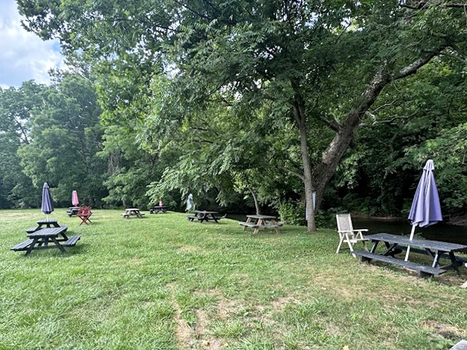 Nature provides the shade while you enjoy the seafood. These picnic tables have witnessed countless "Oh my goodness" first-bite moments.