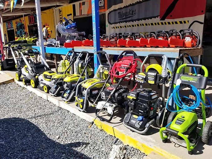 A rainbow of lawn equipment that makes even the most dedicated couch potato momentarily consider the joys of yard maintenance. Almost.