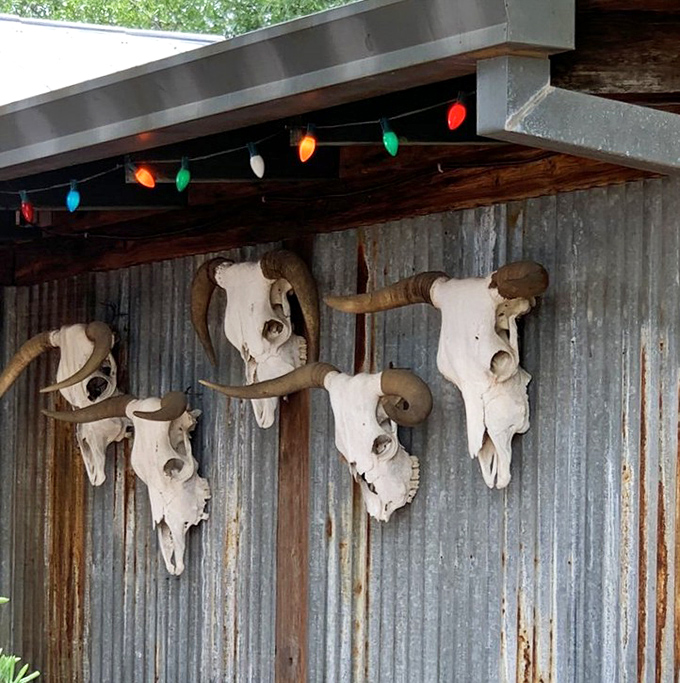 The longhorn skulls aren't just decoration – they're the previous customers who didn't tip well. (Just kidding, they're pure Texas ambiance!)