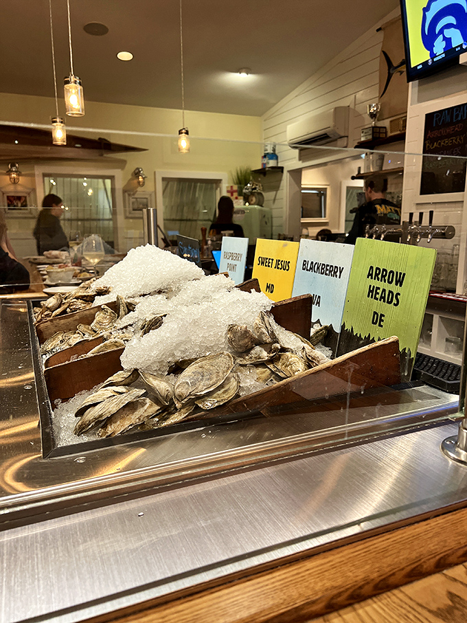 The oyster display&mdash;a glistening showcase of briny treasures labeled with the care and precision usually reserved for fine jewelry.