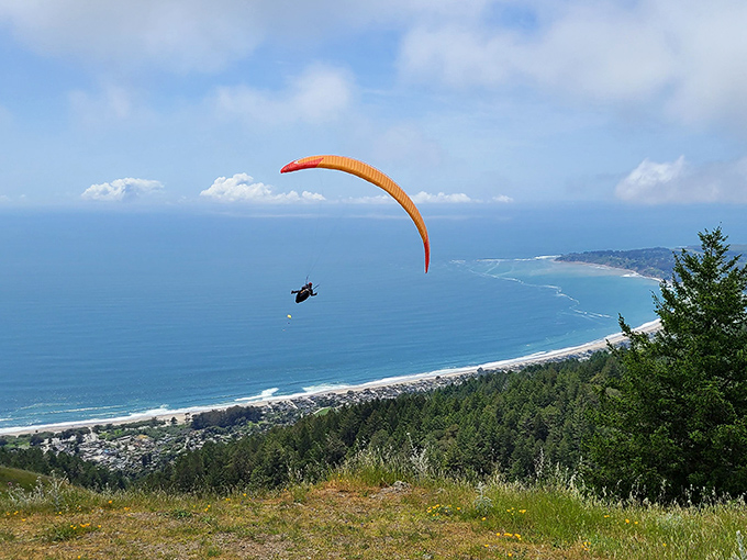 Paragliding off Mount Tam&mdash;when walking down a mountain seems too conventional and you'd rather float above the coastline like a majestic snack chip.