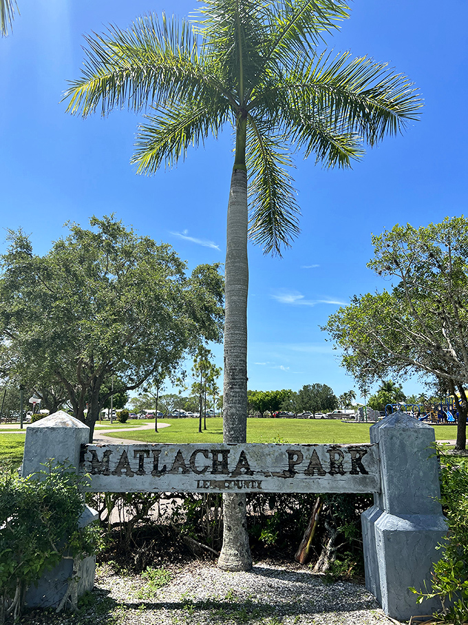 Matlacha Park serves as the community's green heart. That royal palm stands like a exclamation point saying, "Yes, this is paradise!" 