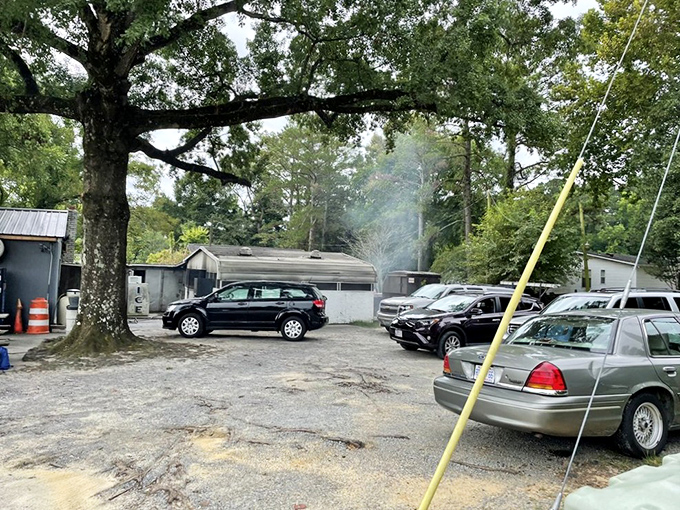 A parking lot filled with cars from every walk of life&mdash;barbecue democracy in action under the watchful gaze of Carolina pines.
