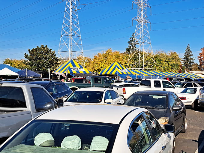 The packed parking lot tells the real story &ndash; when treasure hunters converge, even Sacramento's spacious asphalt can't contain the weekend excitement.