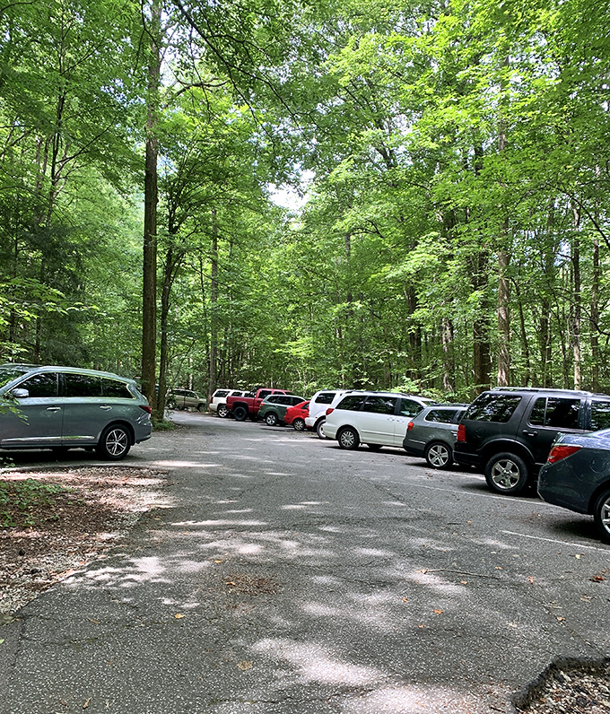 The parking area nestled under a green canopy. Your car has never been happier to wait while you commune with nature.