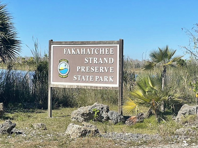 The official welcome to 85,000 acres of wild Florida. Where the only traffic jams involve turtles crossing the boardwalk.