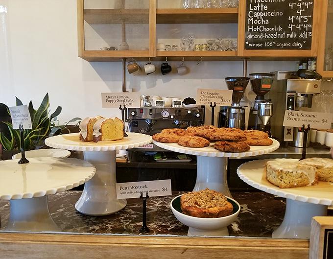 Pastry displays that make resistance futile. Each cake stand holds something that will haunt your dreams in the best possible way.