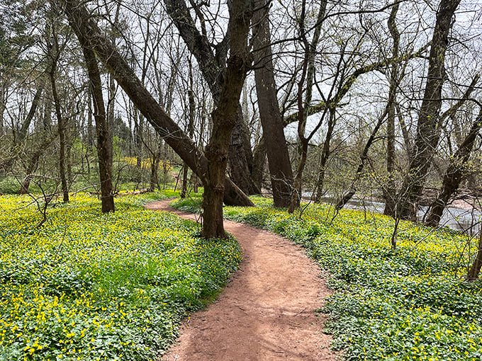 Well-maintained pathways invite exploration without requiring mountaineering skills or expensive hiking boots.